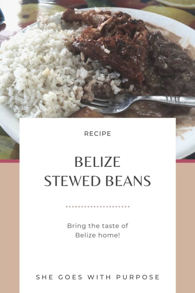 Best Belize Stewed Beans Recipe | Make a Delicious Caribbean Meal at Home